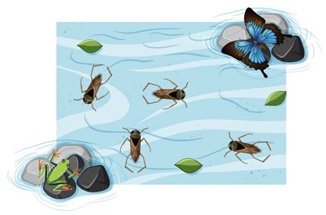 A Method Of Population Estimation Mark And Recapture Biolympiads