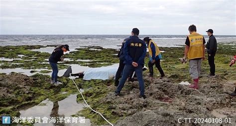 海保署嚴正譴責綠島稀有鯨豚遭割肉事件 呼籲民眾協助破案獎勵金最高20萬元 Enn台灣電報