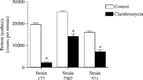 Effects Of Clarithromycin 0 1 Mg L On Protein Synthesis By Strain 172
