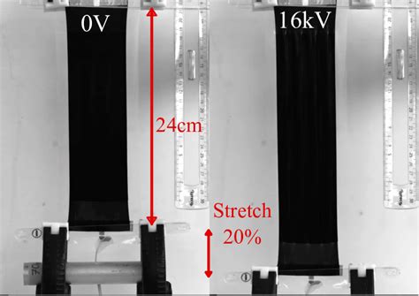 200 µm Thick Linear Dea Elastosil Film 2030 From Wacker With