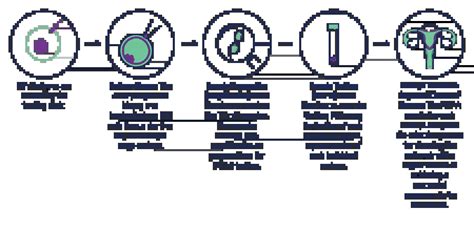Pgt A Preimplantation Genetic Testing For Aneuploidy