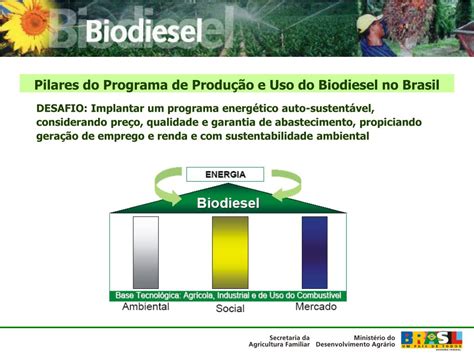 Ppt Pilares Do Programa De Produção E Uso Do Biodiesel No Brasil