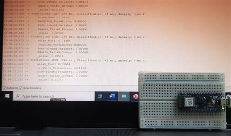 Use TinyML On The Nano BLE Sense To Classify Different Bird Calls Arduino Blog