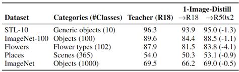 The Augmented Image Prior Distilling 1000 Classes By Extrapolating From A Single Image