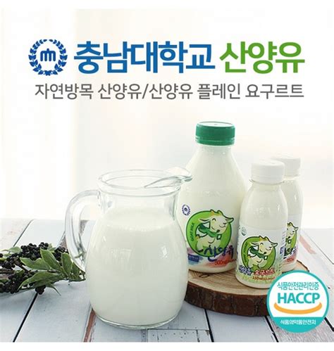 어른 아이 영양보충 충남대 산양유 모음우유치즈플레인요구르트 티몬