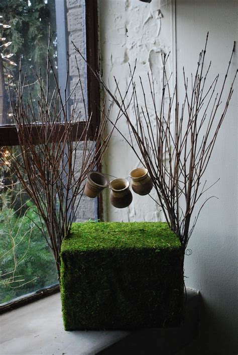 Moss Box Moss Projects To Try Plants