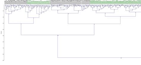 Wards Dendrogram In Combination With Euclidian Distances For Full