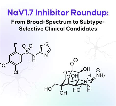 Molecule Spotlight Risdiplam The First Approved Small Molecule