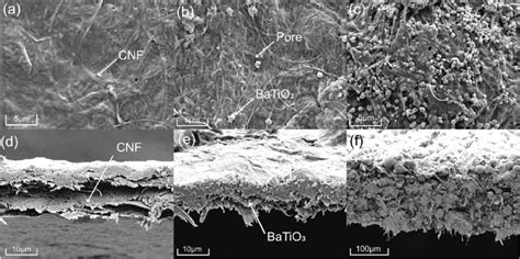 Surface And Cross Section Fe Sem Micrographs Of Pure Cnf A And D