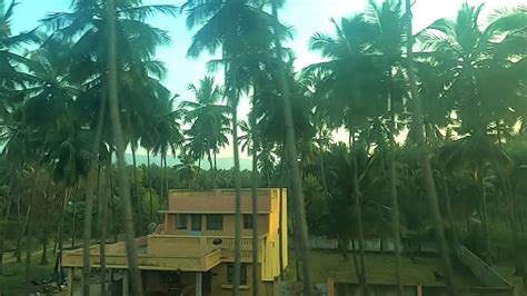 Coconut Farm Sale In Tamilnadu At Deidra Mckoy Blog