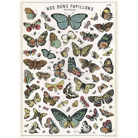 Cavallini Butterflies Wrapping Paper Amazon Co Uk Office Products