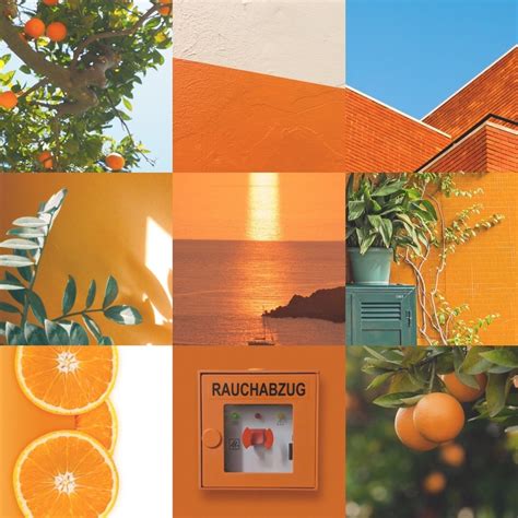 주황색 오렌지색 주황톤 1170 2532 아이폰 13프로 아이폰 14프로 고화질 배경화면 무료 공유 다운로드