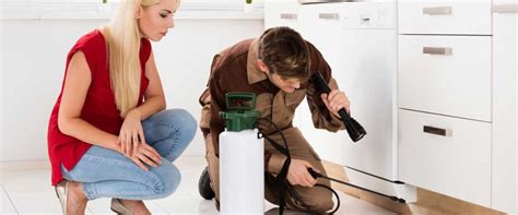 Queens Exterminator Ants Mice Rats Rodents Mouse Termites Roach