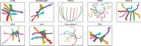 Results Obtained Using Data Generated By The PHATE Library Branches