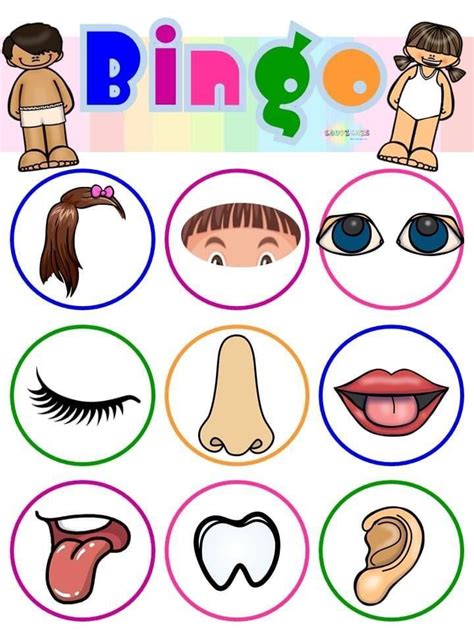 Pin De Mtra Anita En El Cuerpo Humano Partes Del Cuerpo Preescolar