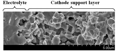 Sem Micrograph Showing The Porous Structure Of An Sofc Cathode