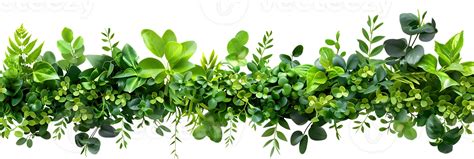 Green Leaf Border Illustration 47521926 Png