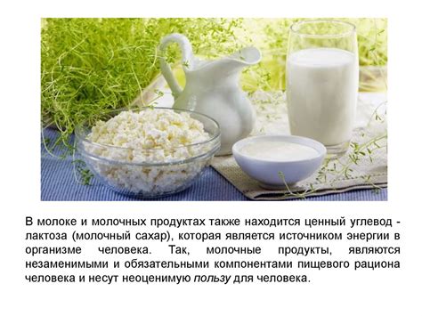 Молочные продукты презентация онлайн