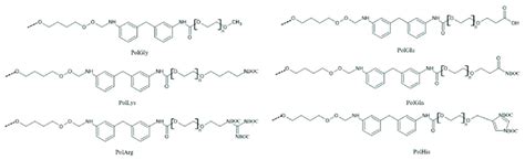 Scheme 8 Polymerization Reaction Mechanism Of The New Proline