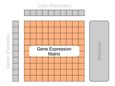 Slides Single Cell Formats And Resources Single Cell Formats And Resources Single Cell