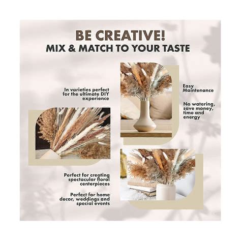120pcs Pampas Grass Boho Homedecor Dried Flowers Pampas Grass Contains