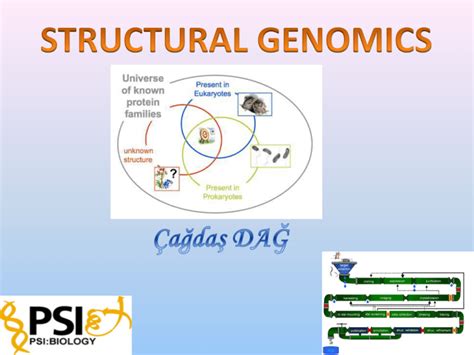 Structural Genomics High Throughput Protein Structure