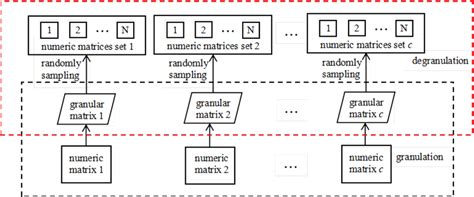 The Granulation And Degranulation Process Calculating Average