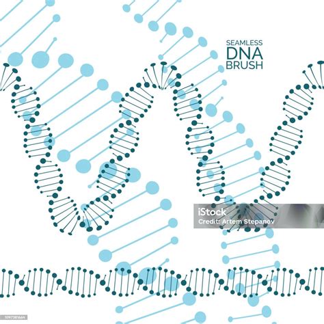 인간의 Dna 체인 또는 게놈 나선 분자 완벽 한 라인 Dna에 대한 스톡 벡터 아트 및 기타 이미지 Dna Empire 건강관리와 의술 Istock