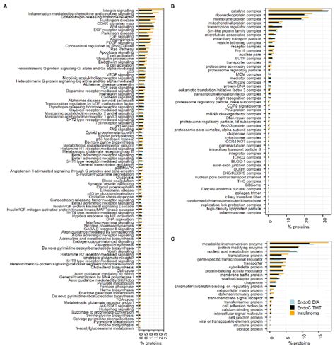 Panther Classification Of Endoc βh1 Cell Proteome Compared To