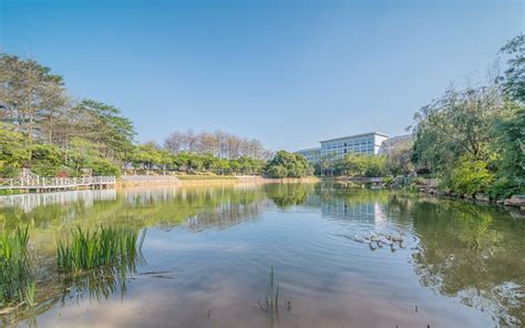 2025年广东外语外贸大学南国商学院经济学专业怎么样？ 掌上高考