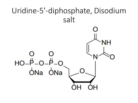 Uridine 5′ Diphosphate Disodium Salt Akonscientific