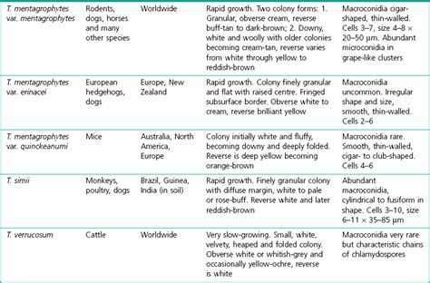 The Dermatophytes Veterian Key