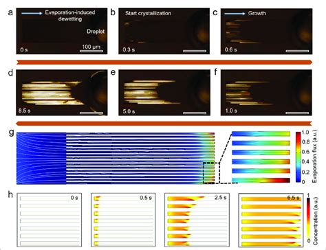 A F In Situ Cpom Observation Of The Growth Of C8 Btbt Crystal In