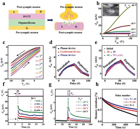 Typical Properties Of The Flexible Conformal Synaptic Transistor Download Scientific Diagram