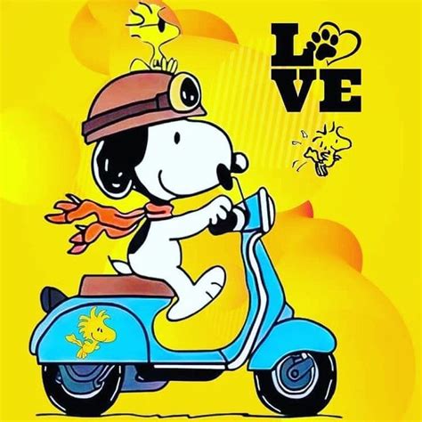 Funny Snoopy Daily On Instagram Cute Follow Us
