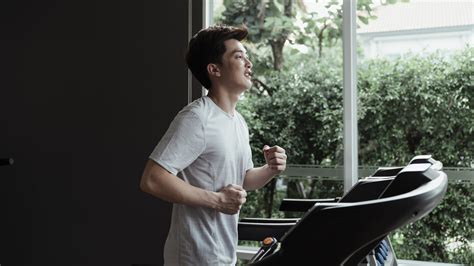 Best Cheap Treadmills 2022 For When The Budget Is Tight T3