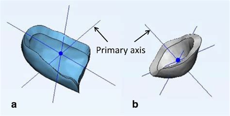 Mesh Based Inertial Axis Of Rotation The Inertial Axis Of Rotation Is Download Scientific