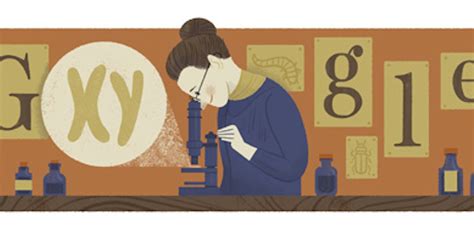 Nettie Stevens Discovered Xy Chromosomes — And Then A Man Took Credit