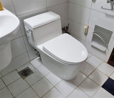 일산 변기교체 화장실 대림바스 Cc260 치마형 원피스 양변기 당일 설치 네이버 블로그