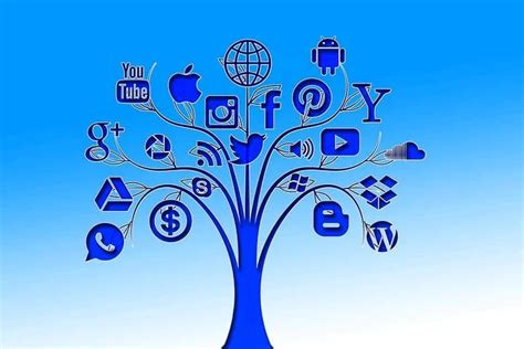 Linktree Là Gì Cách Tạo Linktree Cho Tiktok Instagram Youtube