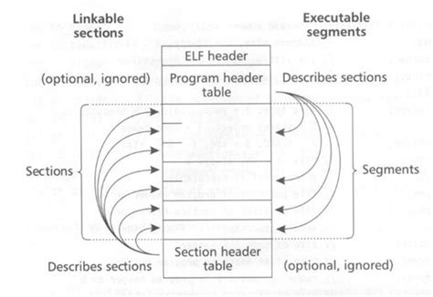 Linux Elf格式分析 Csdn博客