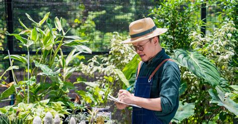 온실 정원에서 관엽 식물과 꽃을 돌보는 아시아 남자 정원사 남성 식물 상점 주인은 매장에서 식물 주문을 계산하고 확인합니다 중소 기업 기업가 및 환경 공장 돌보는 개념