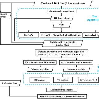 An Example Of Tree Segmentation With Three Approaches Including The