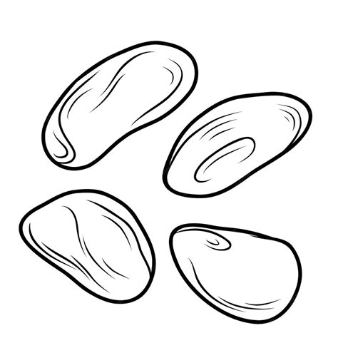 premium vector handful of cocoa beans hand drawn outline black and