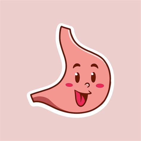 かわいいお腹のイラスト Premiumベクトル素材