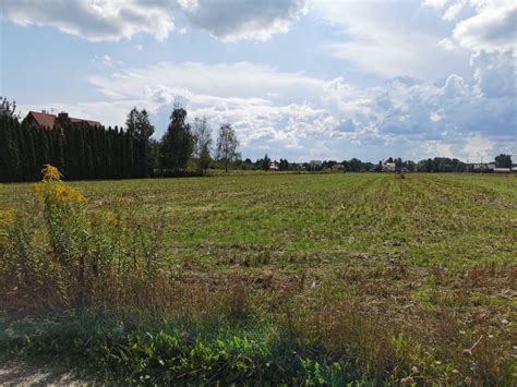 Działka Wielgolas Duchnowski ul Sportowa bez pośrednika 1000 m2