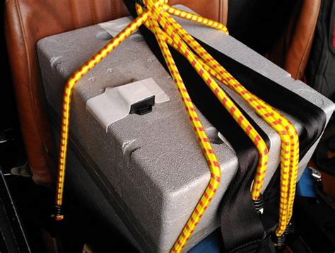 How Does The Immune System React To Altered Gravity Spaceref