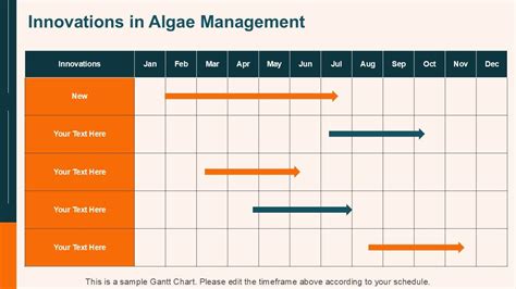 Algae Eating Protozoa Ppt Outline Acp