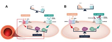 谁能在肺动脉高压最先应用生物制剂？ 知乎
