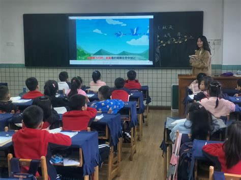 同课异构 同放光彩乐山艺术实验学校